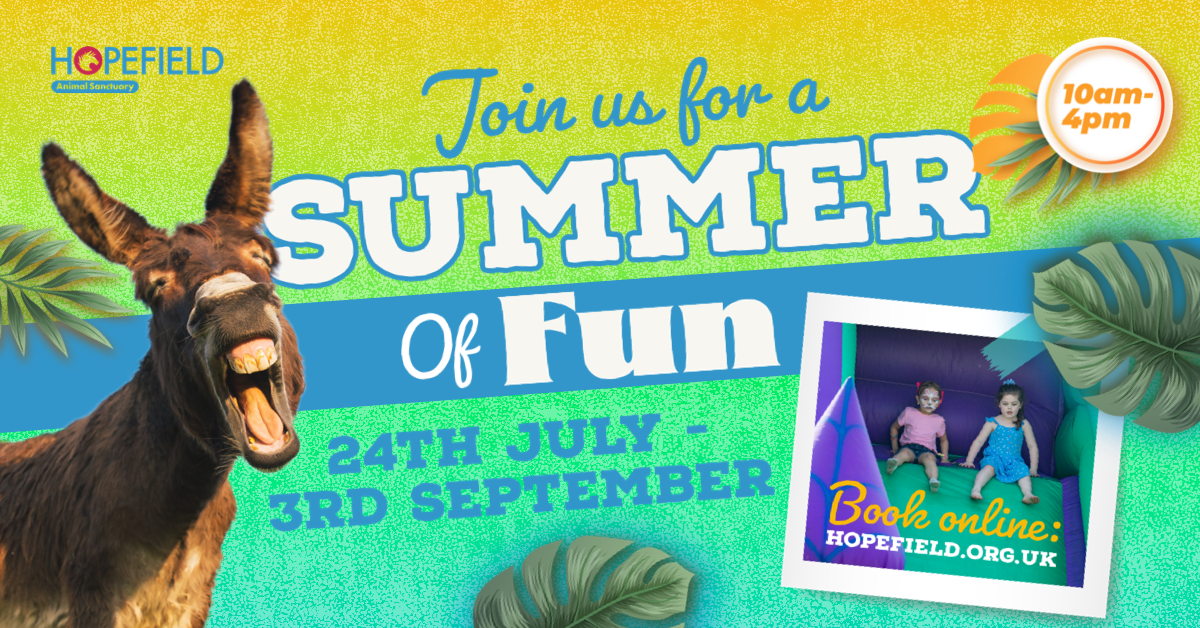 Animal Events in Essex | Hopefield Animal Sanctuary