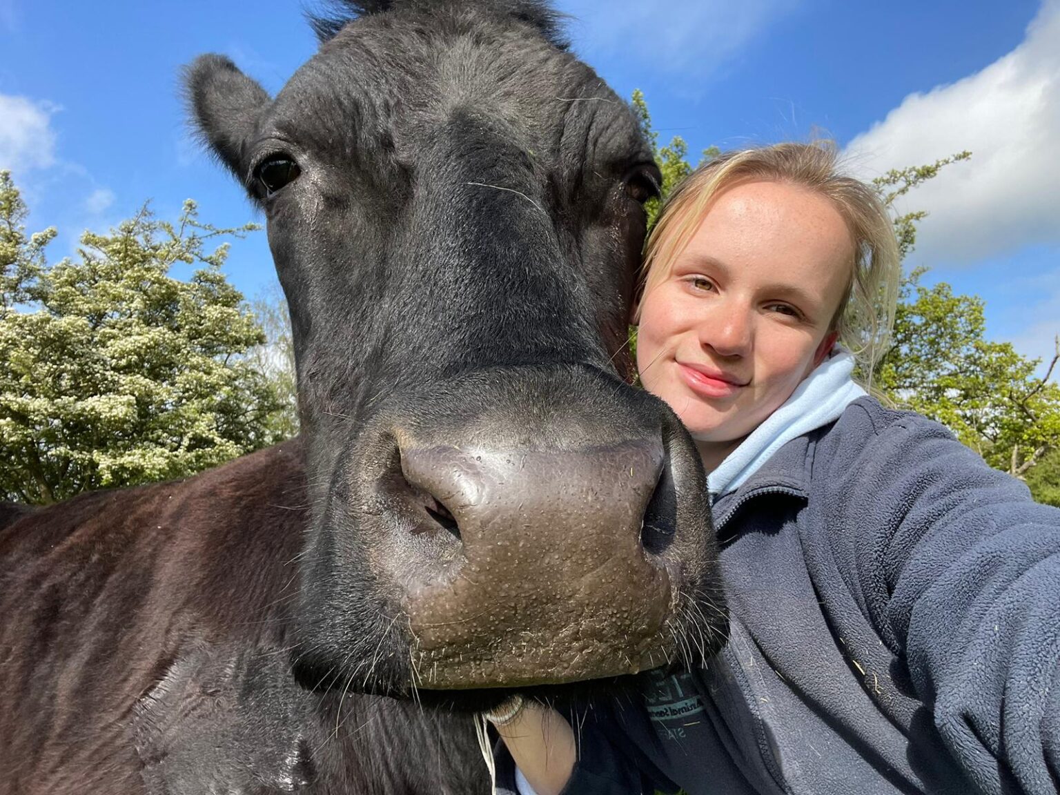 Hopefield Animal Sanctuary & Visitor Centre | Brentwood, Essex