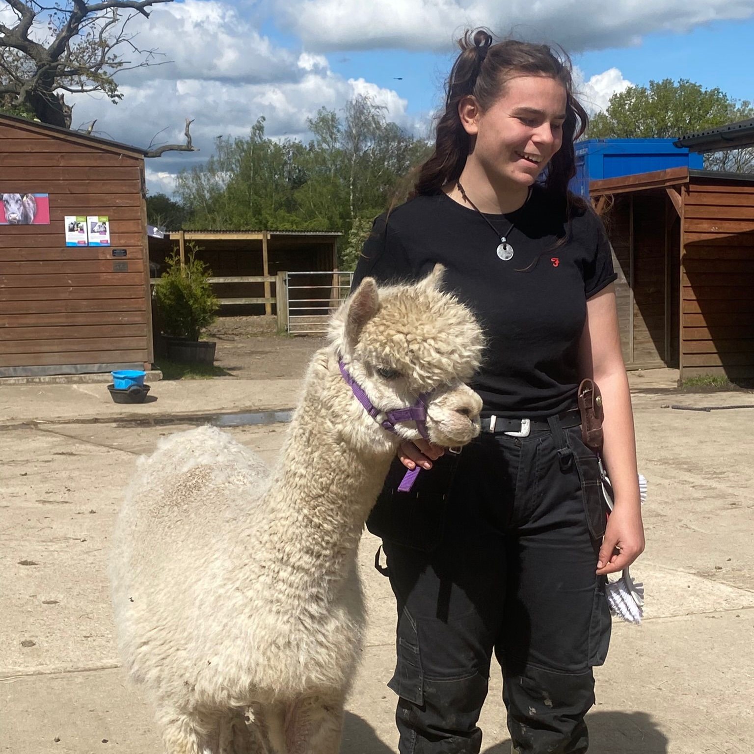 Meet the team | Hopefield Animal Sanctuary