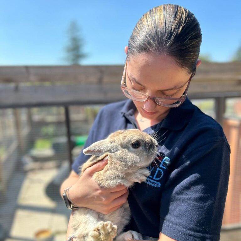 Meet the team | Hopefield Animal Sanctuary & Visitor Centre