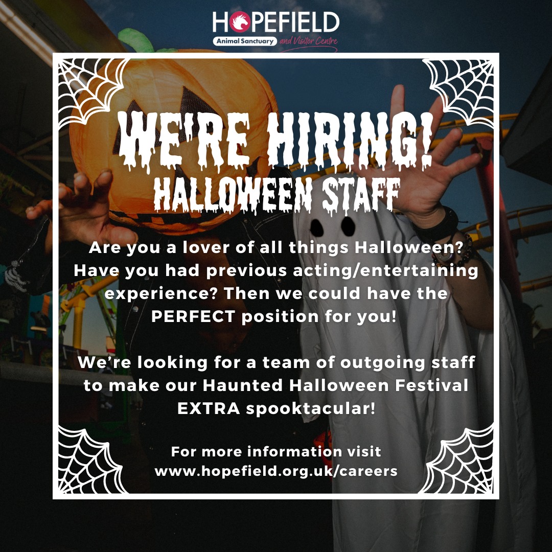 Halloween staff needed at Hopefield Animal Sanctuary