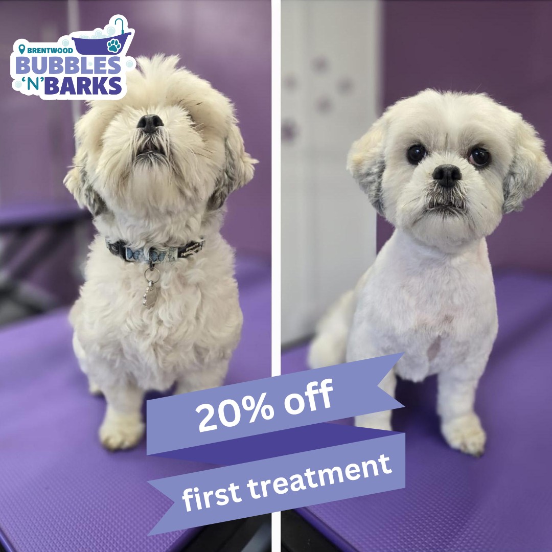 Brentwood Bubbles 'N' Barks is now open for dog grooming
