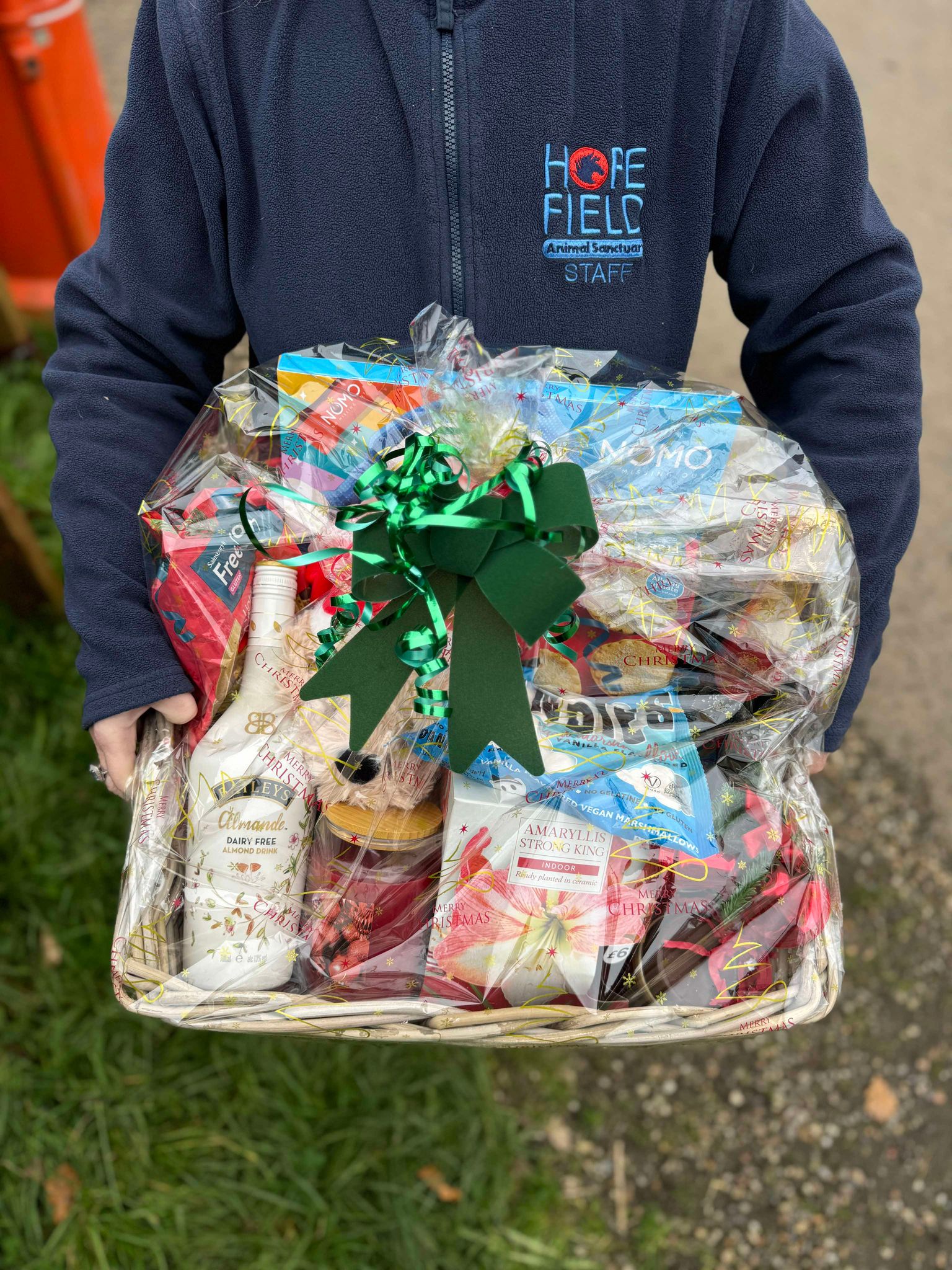 Win an amazing Christmas Hamper!