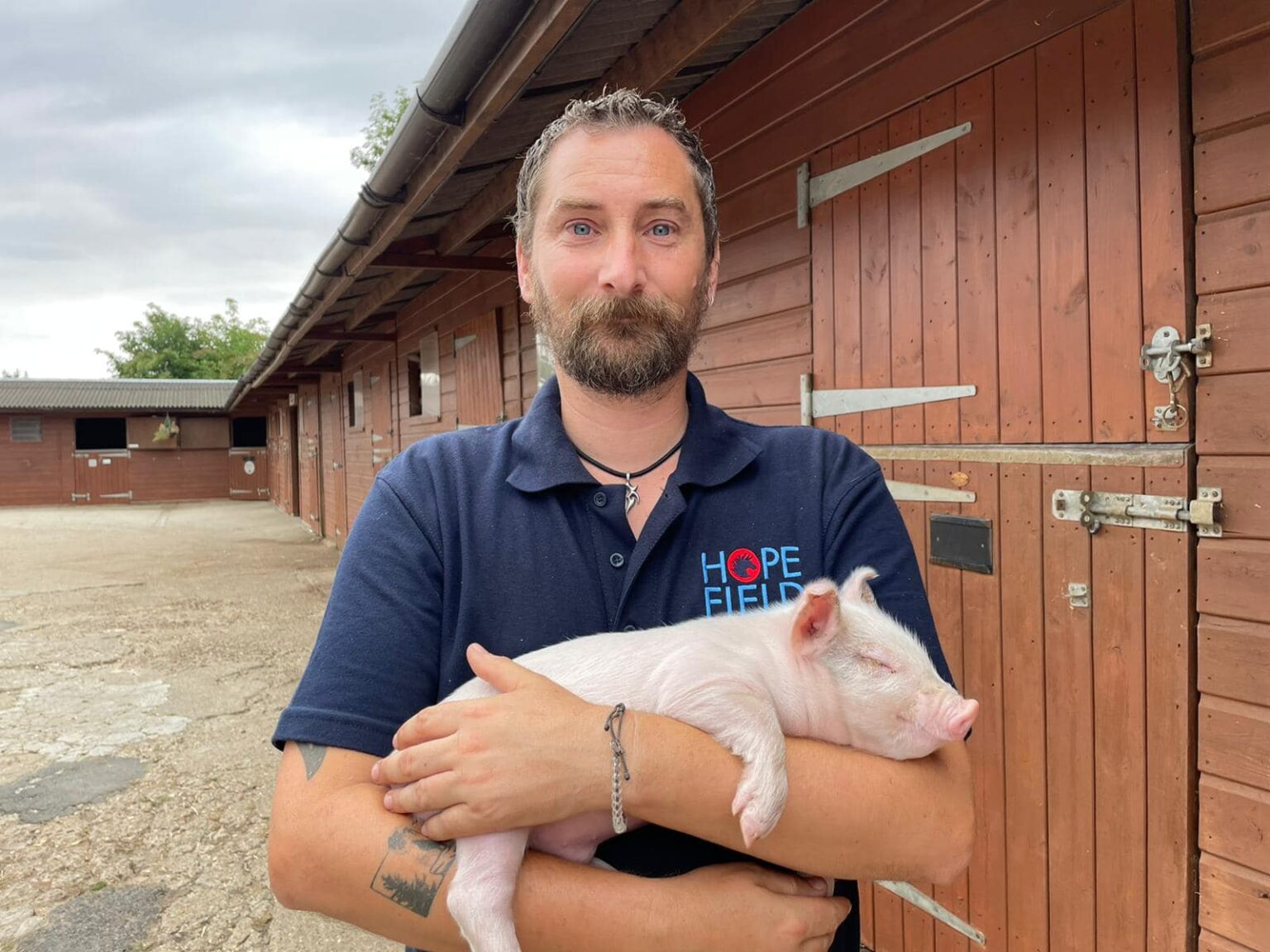 Hopefield Animal Sanctuary & Visitor Centre | Brentwood, Essex