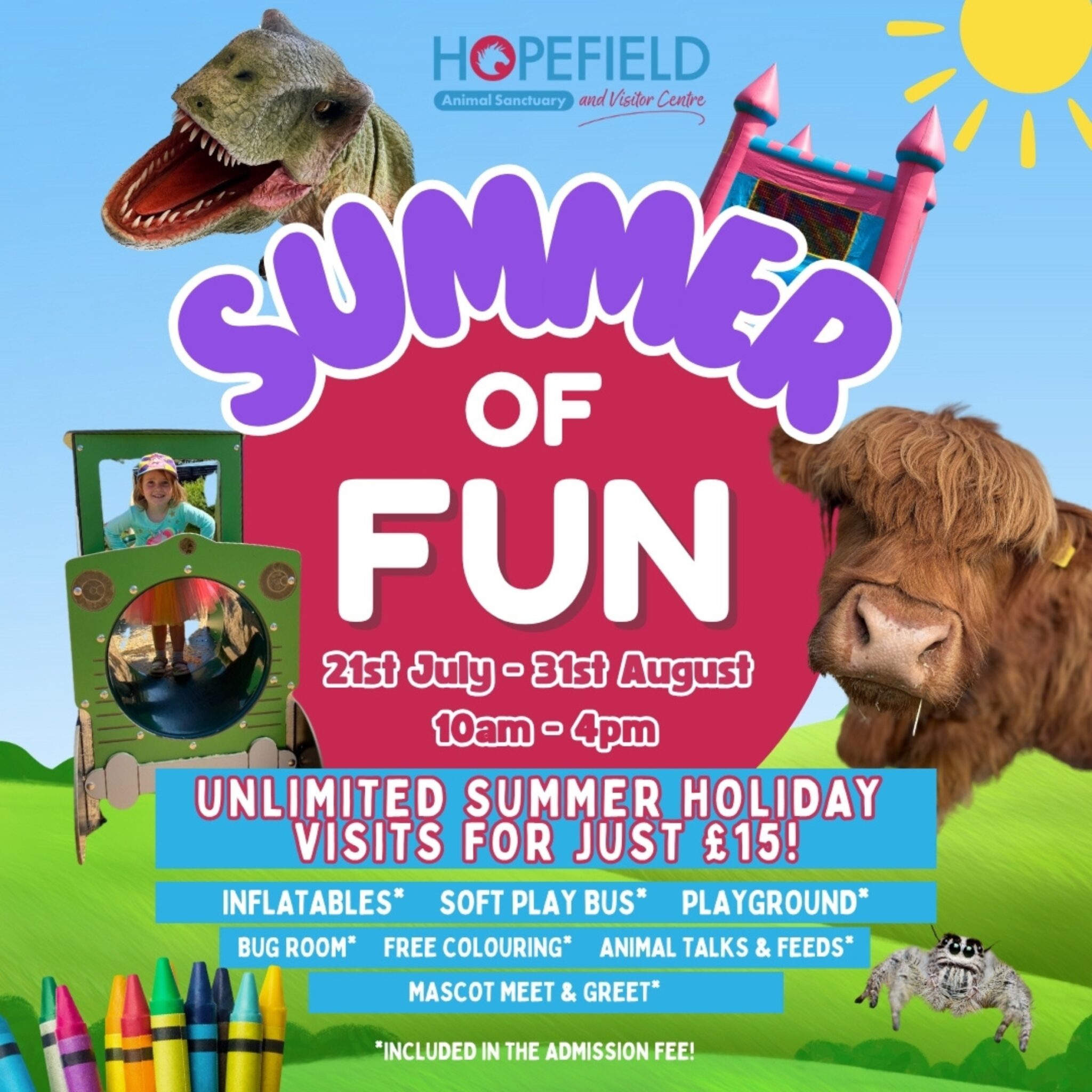 Summer of Fun | Hopefield Animal Sanctuary & Visitor Centre