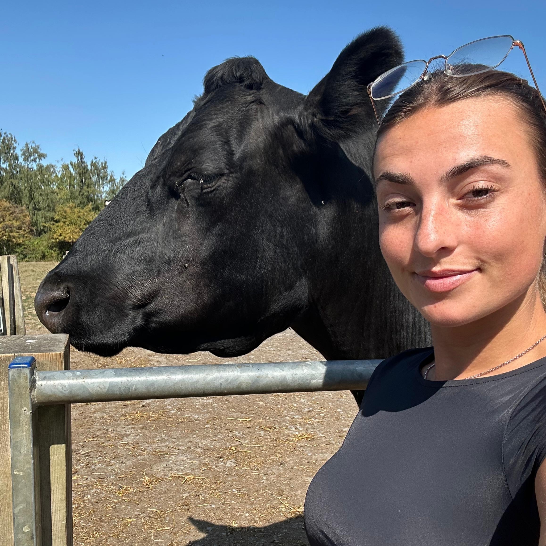 Why Hopefield Animal Sanctuary Supports Veganuary | Hopefield Animal ...