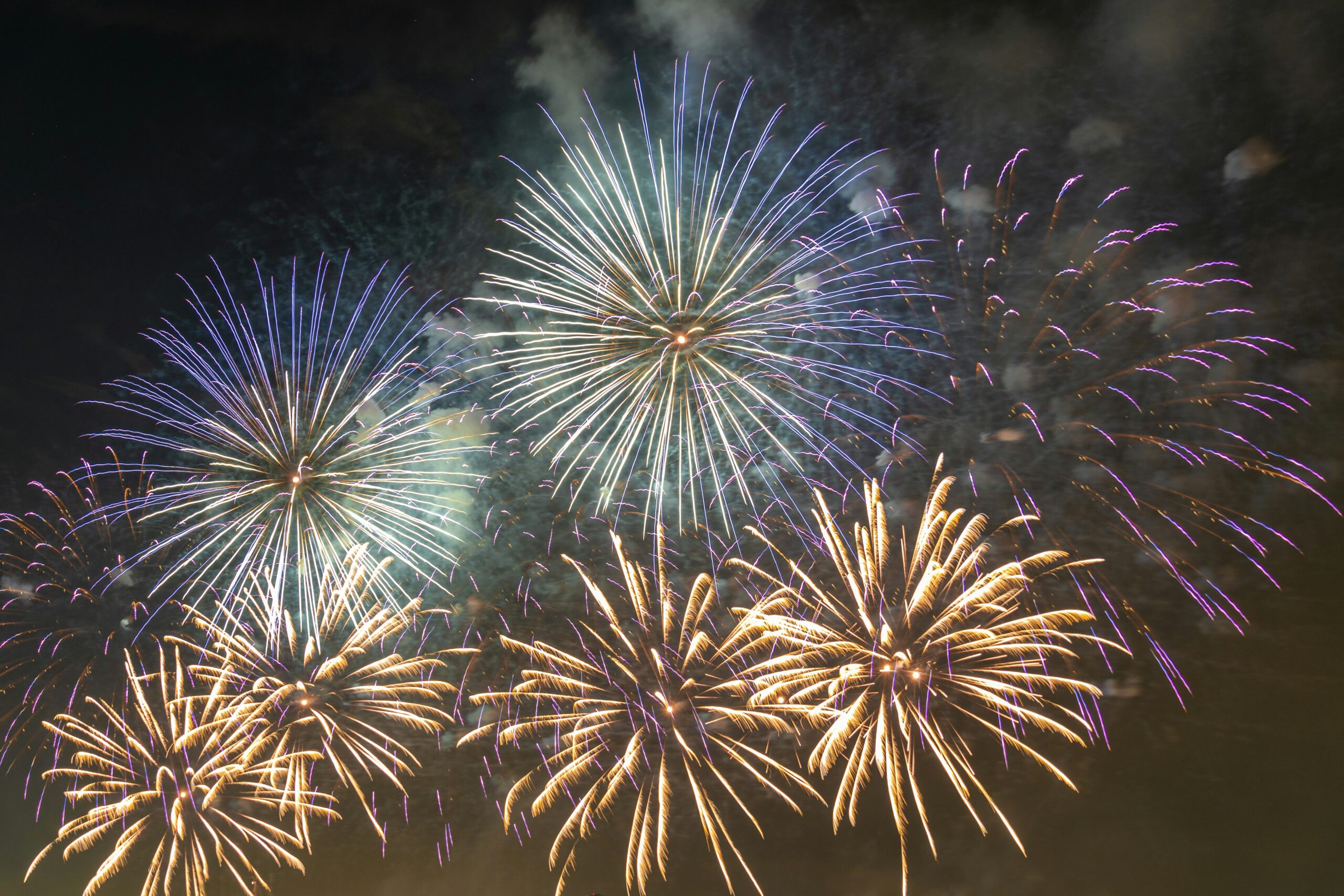 Bang out of order: the real cost of setting off fireworks near animals ...