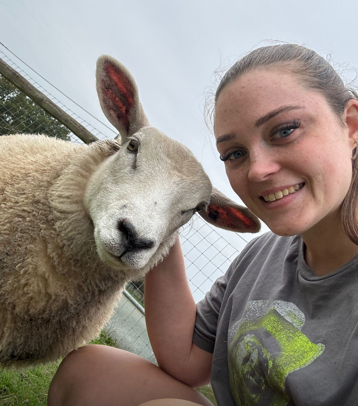 How Animal Sanctuaries Give Rescued Animals a Second Chance | Hopefield ...